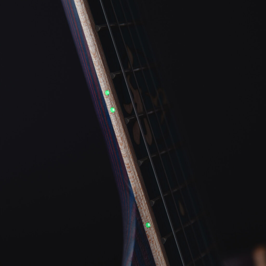 Lindo Koya Electric Guitar - Japanese Wilderness Graphic Art Finish